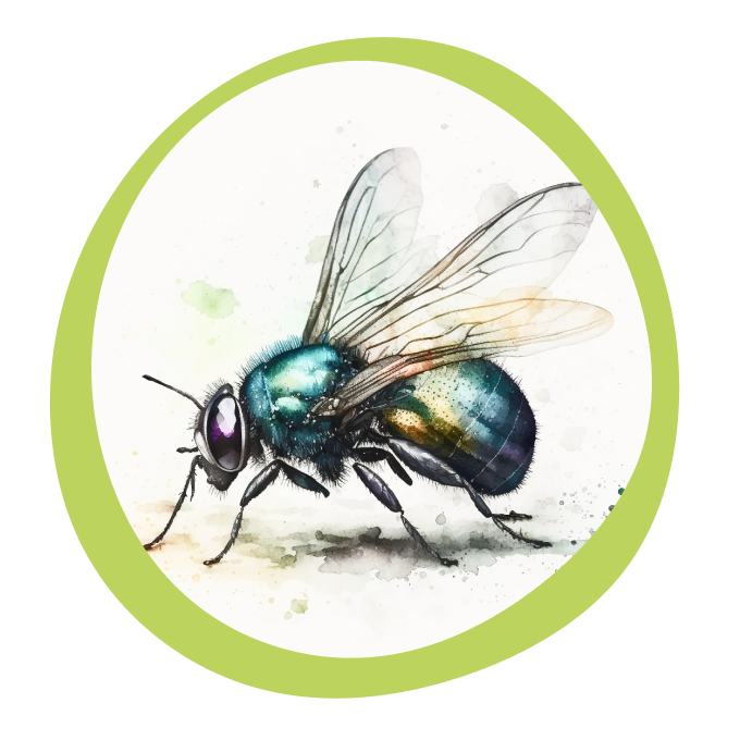 No-Bite-Me™ Bug Repellent & Itch Relief – SallyeAnder