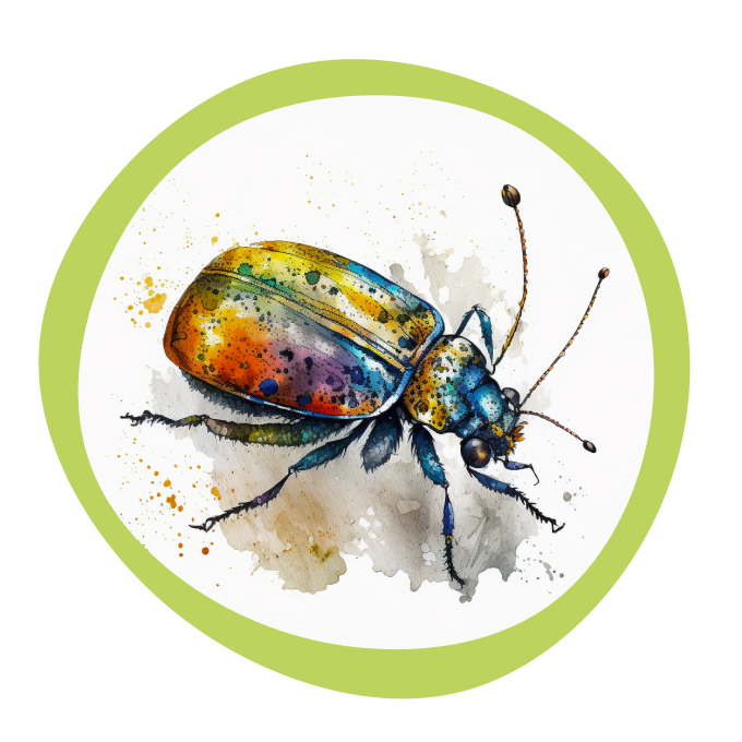 No-Bite-Me™ Bug Repellent & Itch Relief – SallyeAnder