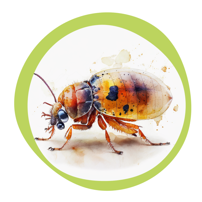 No-Bite-Me™ Bug Repellent & Itch Relief – SallyeAnder